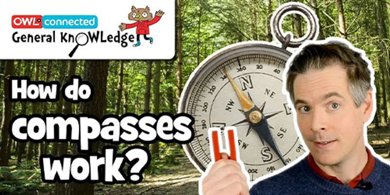 How Do Compasses Work?
