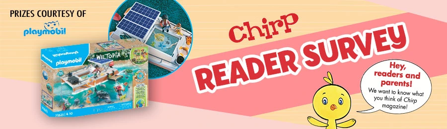 Chirp’s Summer Survey Contest - Image