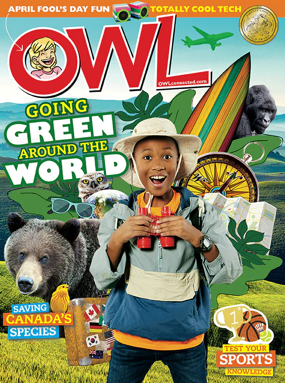 owl magazine
